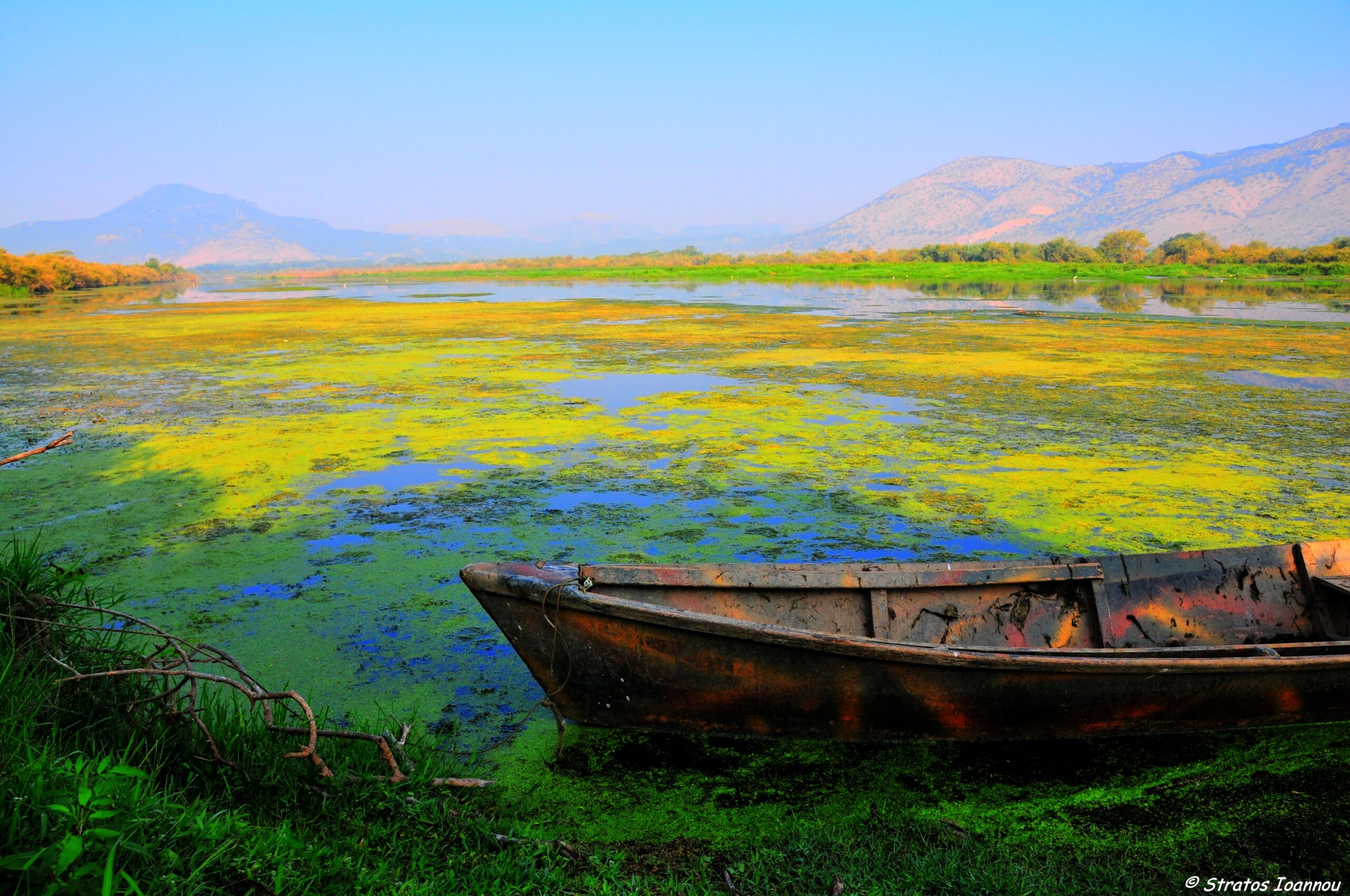 Bird Watching Amvrakikos Gulf - West Coast Travel - Activities Preveza ...